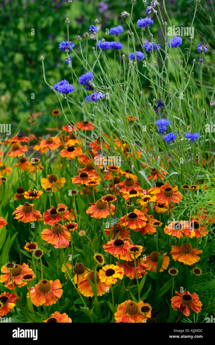 Orange and blue hi-res stock photography and images - Alamy