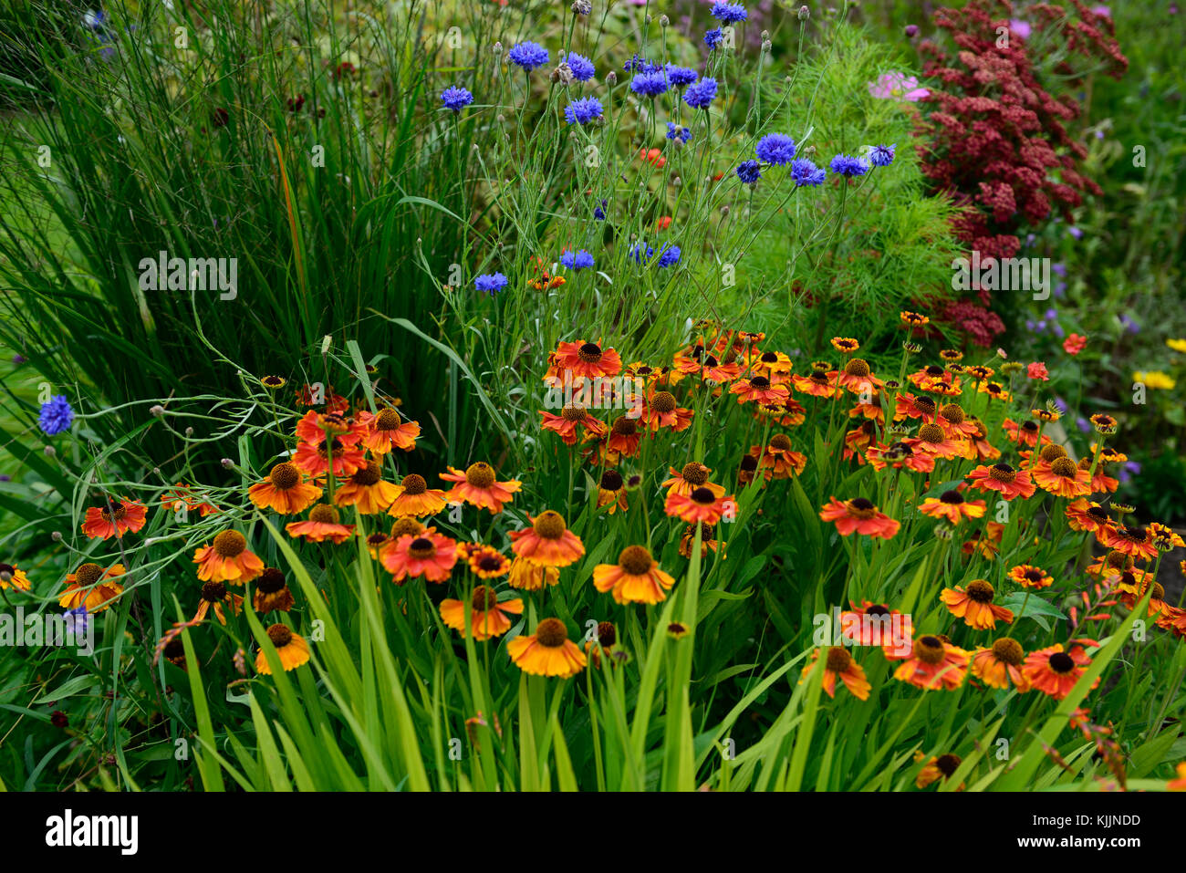Orange and blue hi-res stock photography and images - Alamy
