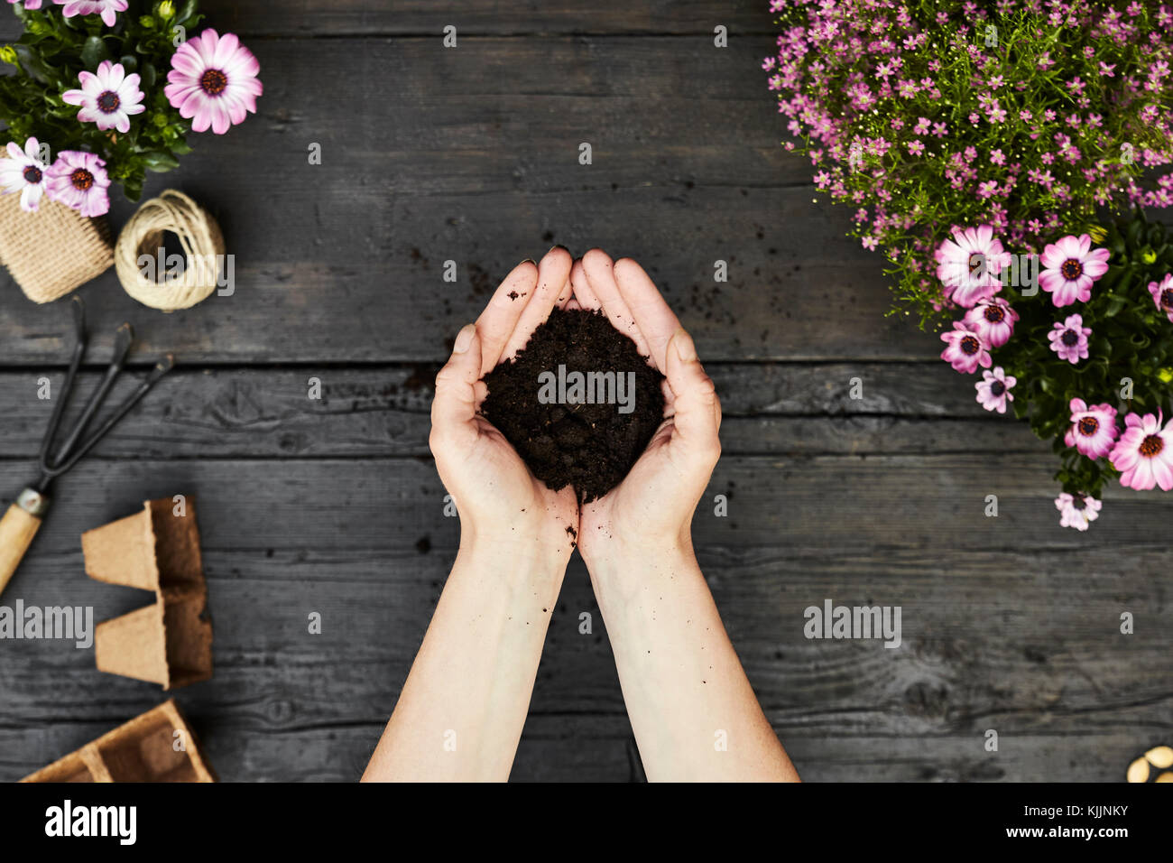 Hands holding utensils hi-res stock photography and images - Alamy