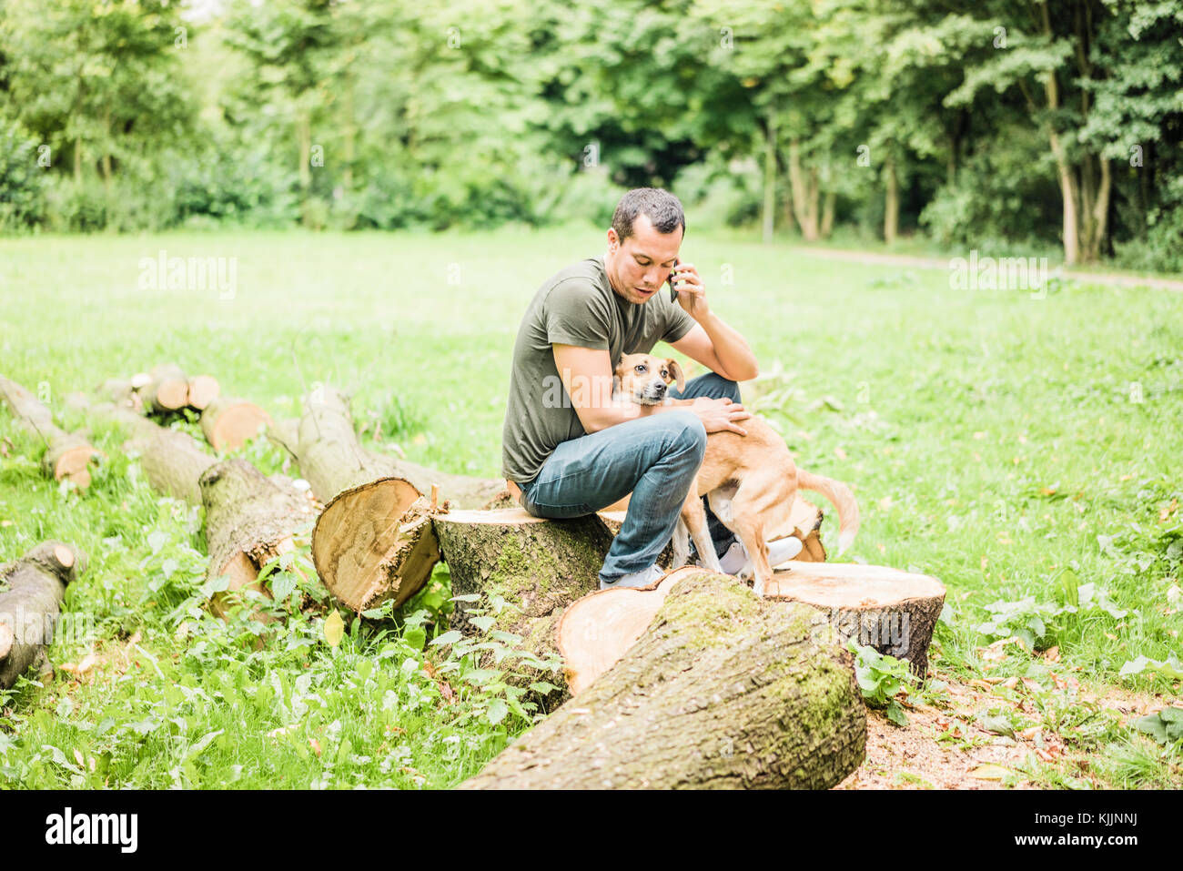 Man with dog in a park talking on cell phone Stock Photo - Alamy