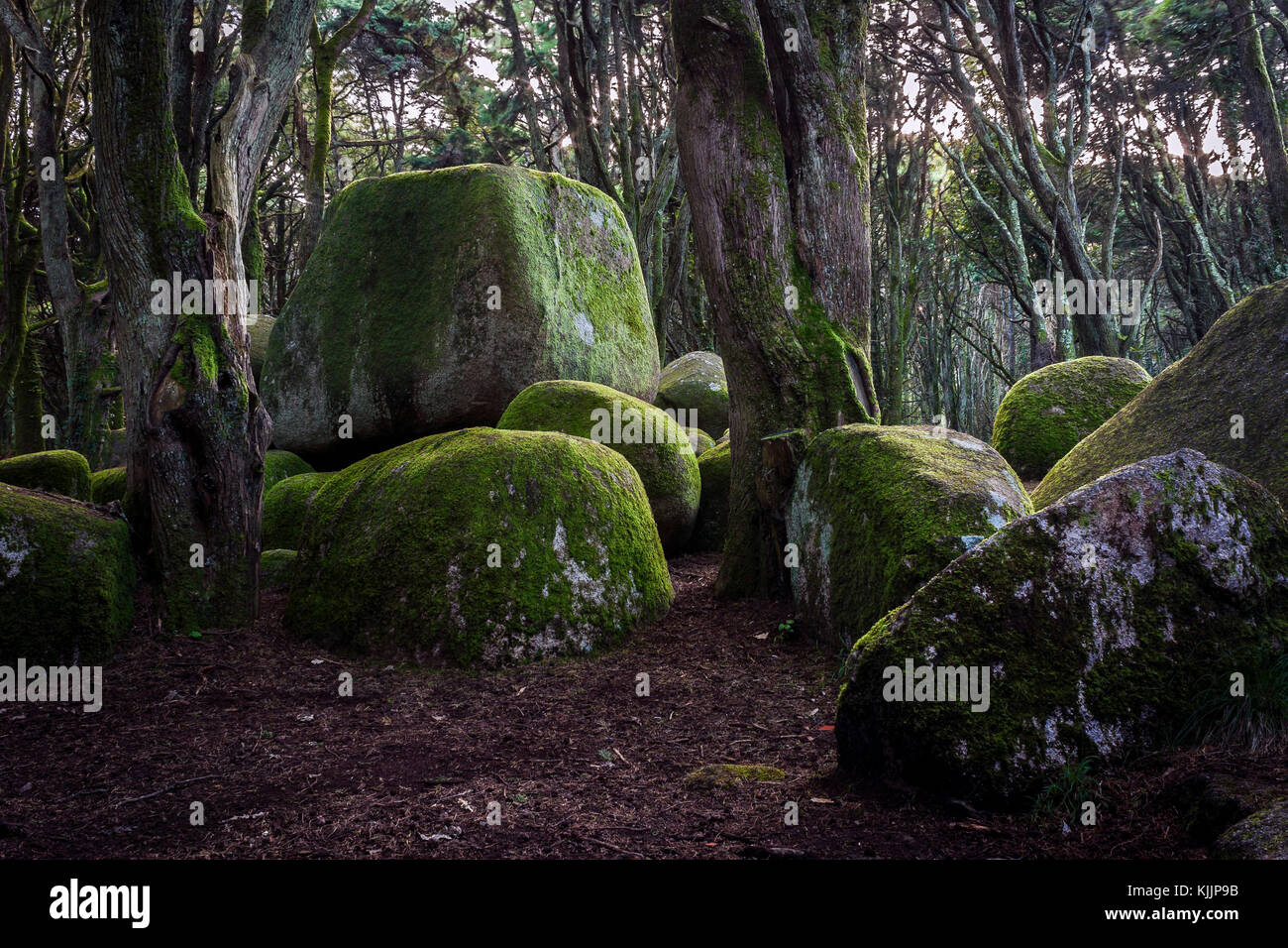 Sintra winter hi-res stock photography and images - Alamy