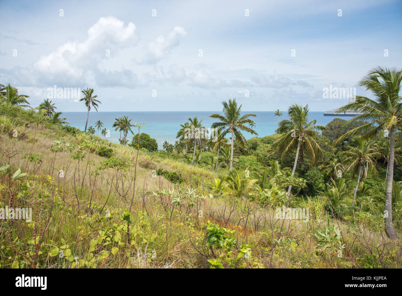 Cruise vessel in greenery hi-res stock photography and images - Alamy