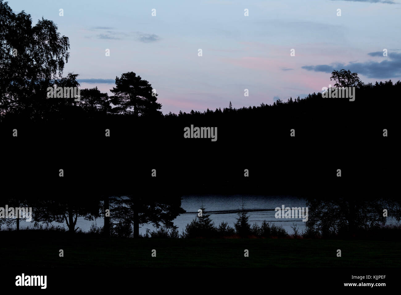 evening in nature Stock Photo - Alamy