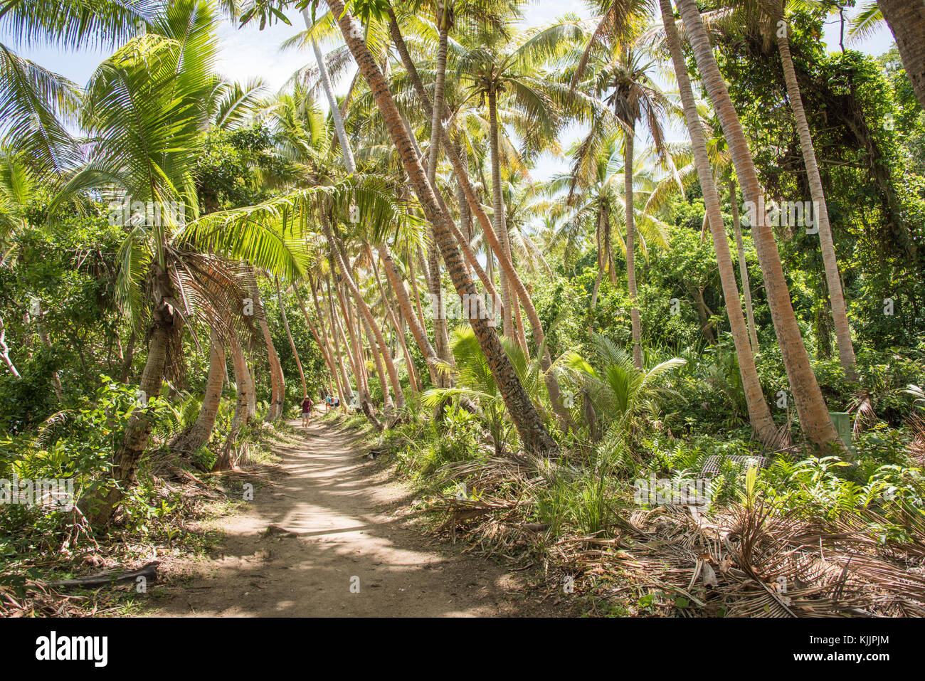 DRAVUNI ISLAND, FIJI, PACIFIC ISLANDS-NOVEMBER 29,2016: People hiking ...