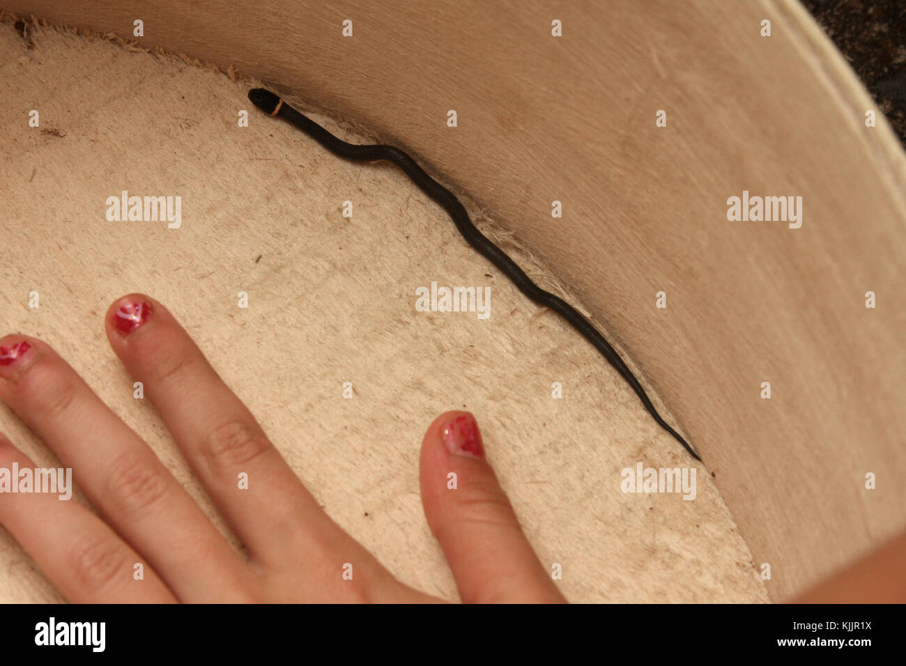 Size of the u s compared with hi-res stock photography and images - Alamy