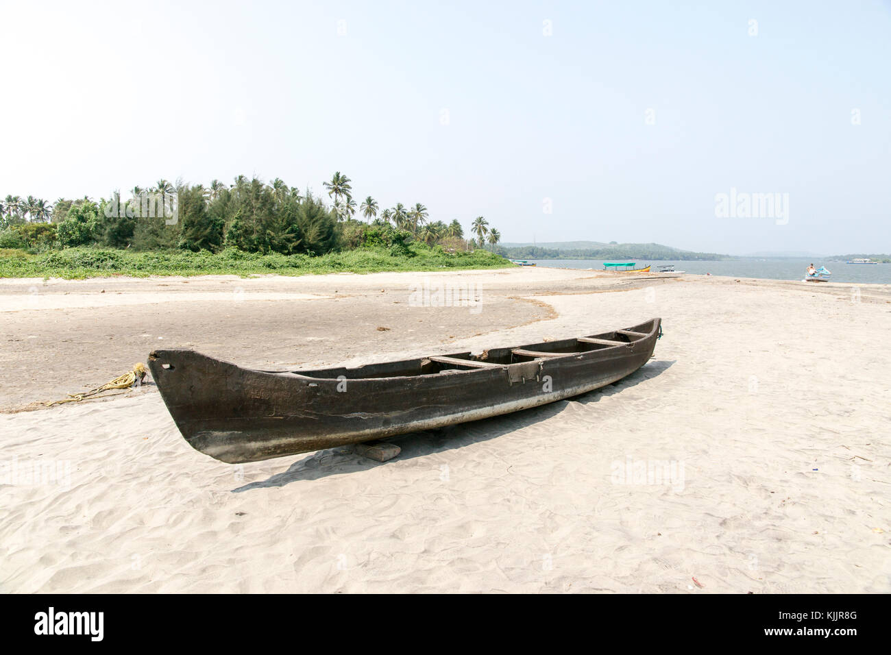Morjim beach goa turtle hi-res stock photography and images - Alamy