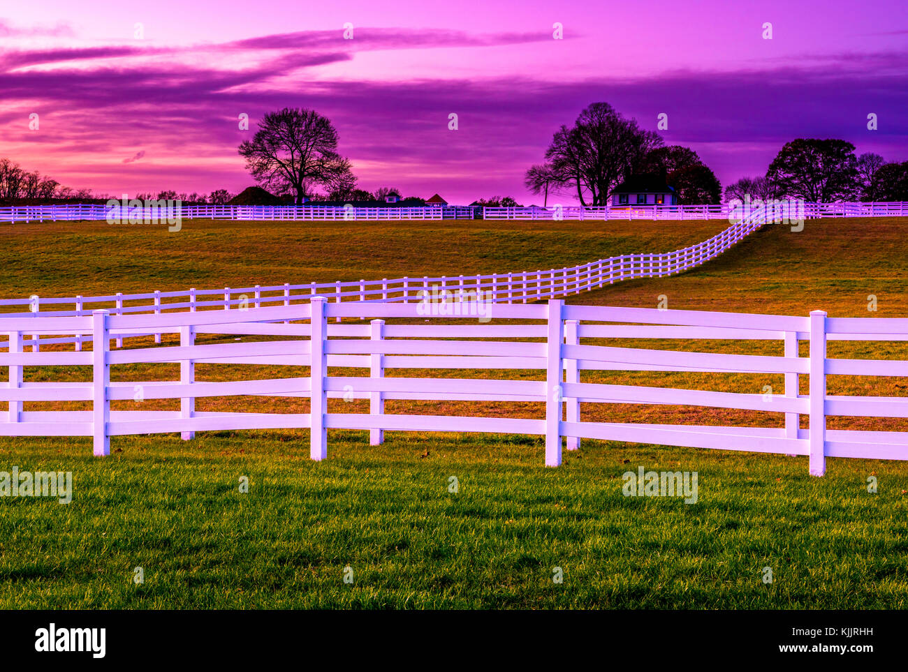 Beautiful Farm Scenery