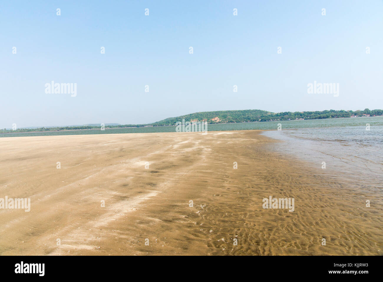 Morjim beach goa turtle hi-res stock photography and images - Alamy