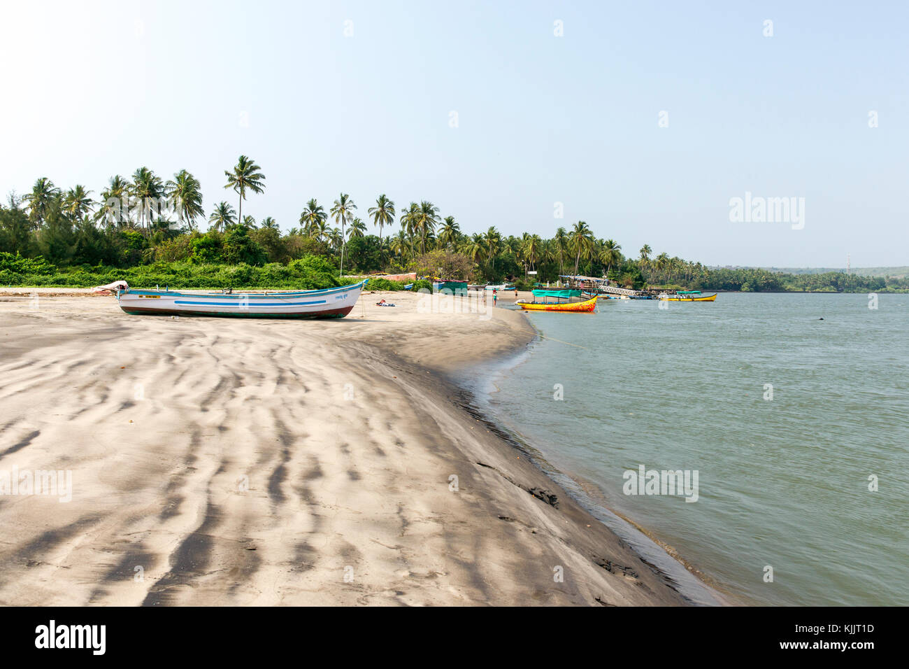 Morjim beach goa turtle hi-res stock photography and images - Alamy
