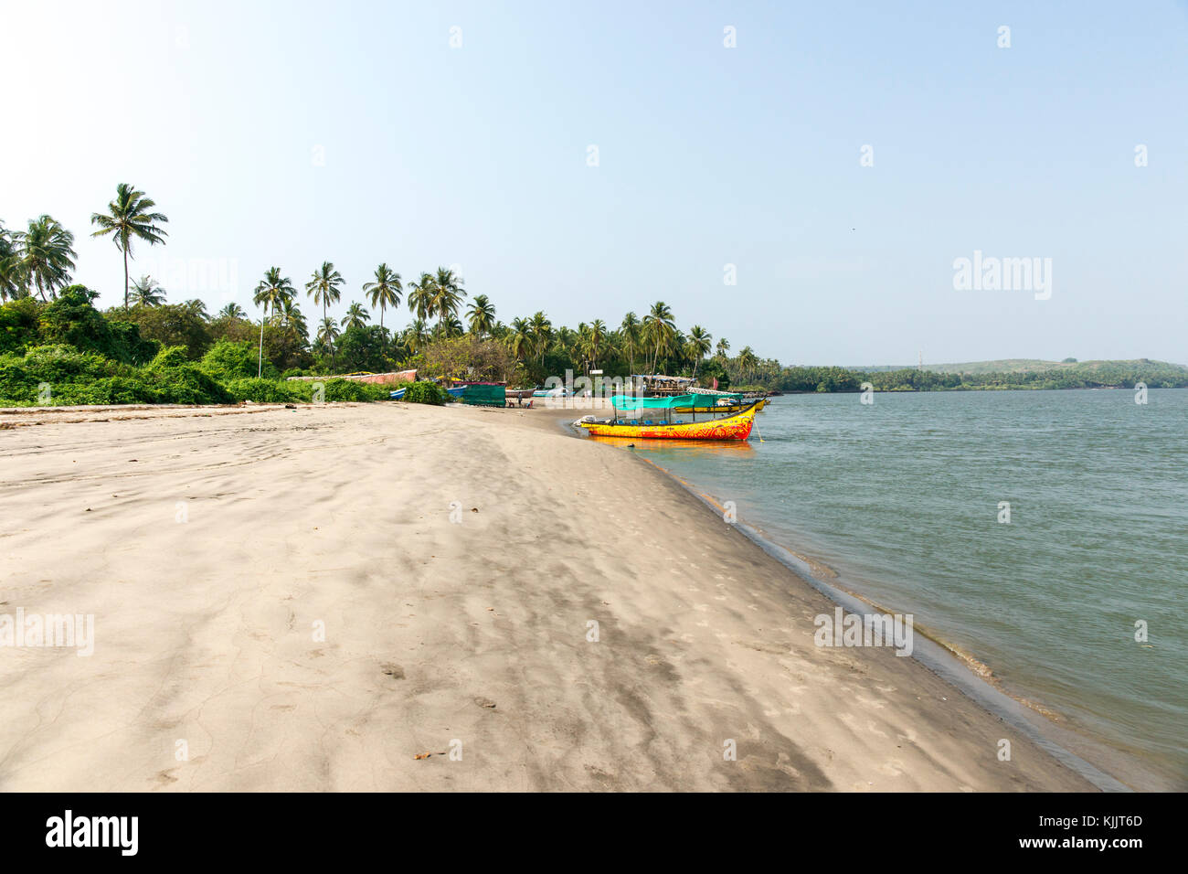 Morjim beach goa turtle hi-res stock photography and images - Alamy