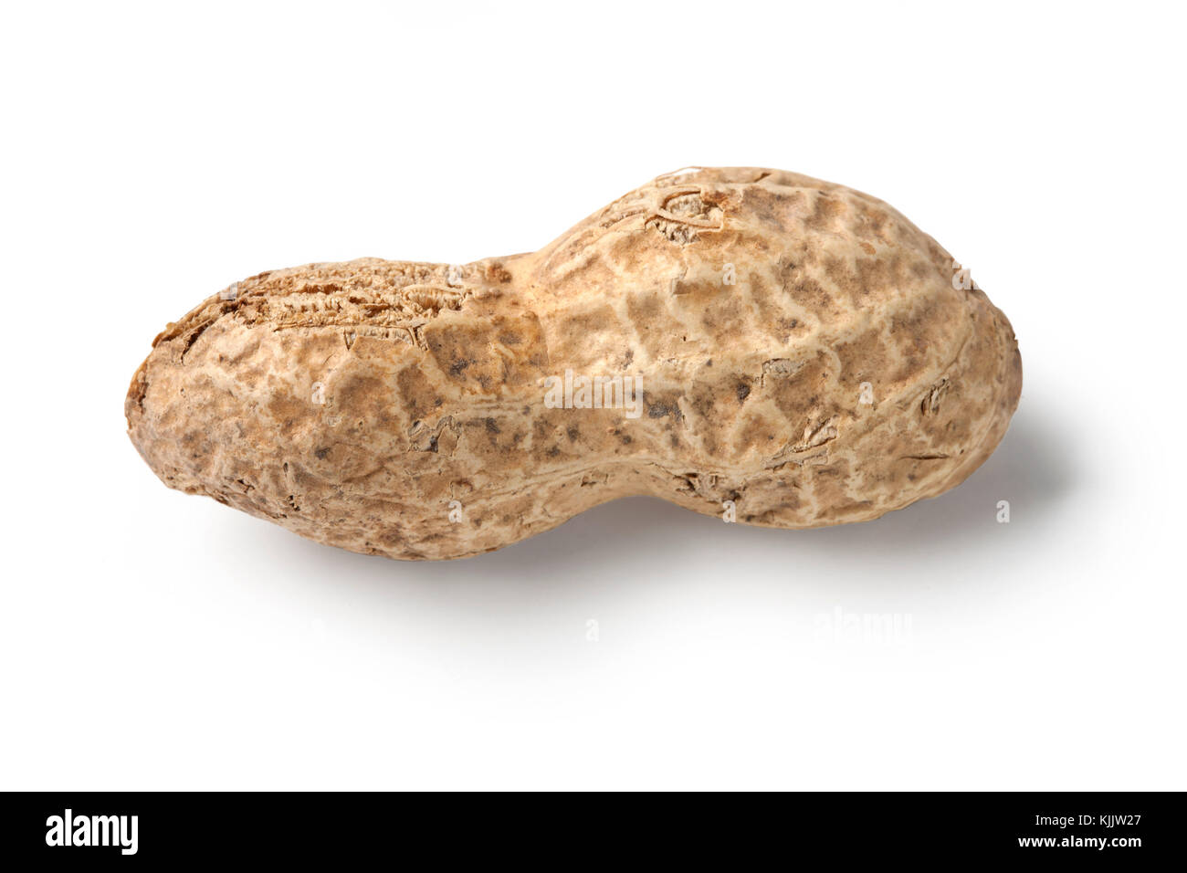 Peanus hi-res stock photography and images - Alamy