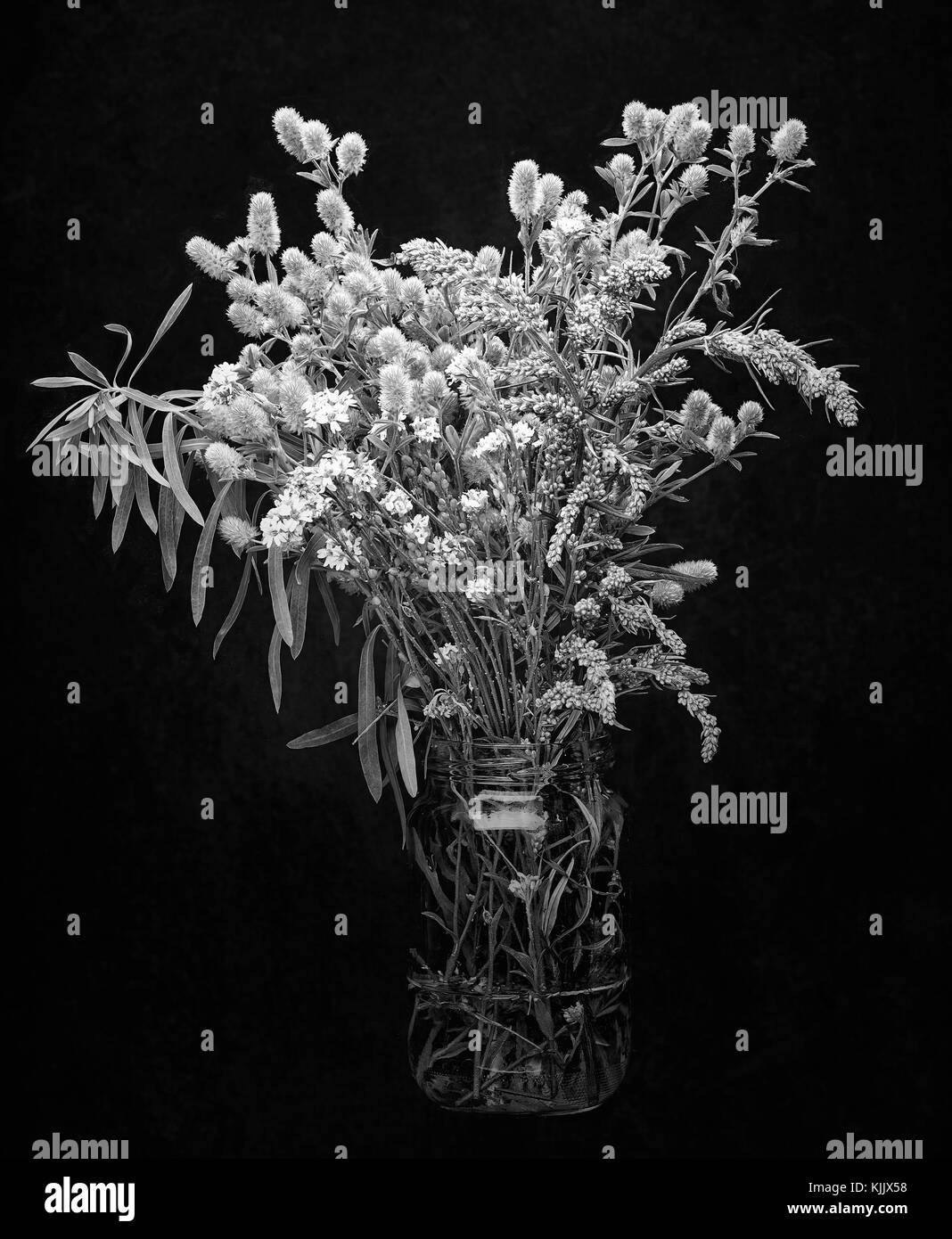 Bunch nature wild spring Black and White Stock Photos & Images - Alamy