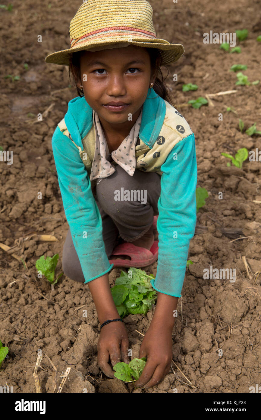Child farm labor hi-res stock photography and images - Alamy