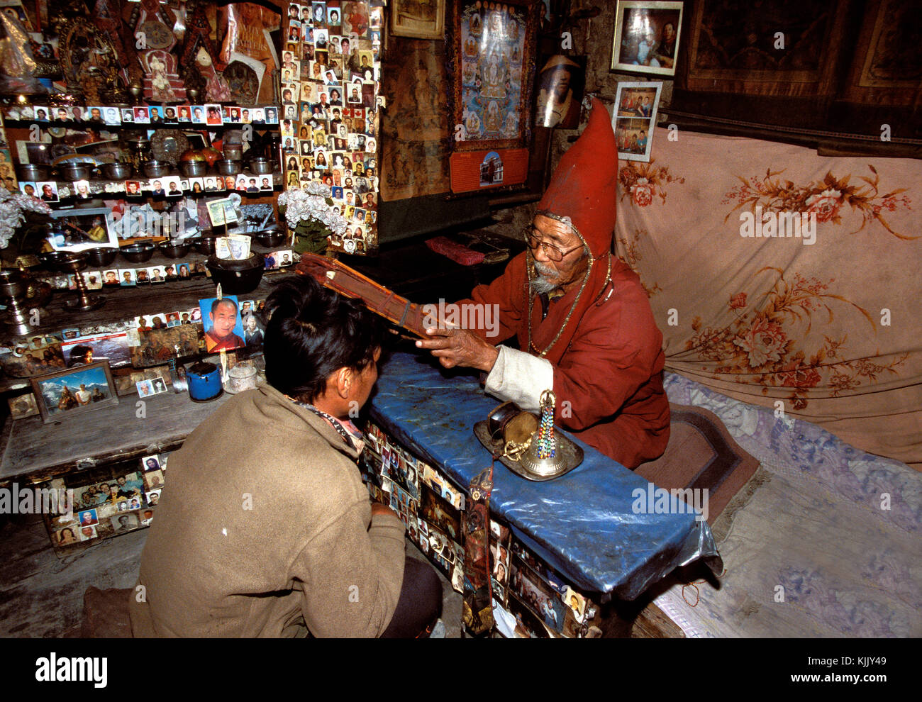 Lama adulte hi-res stock photography and images - Alamy