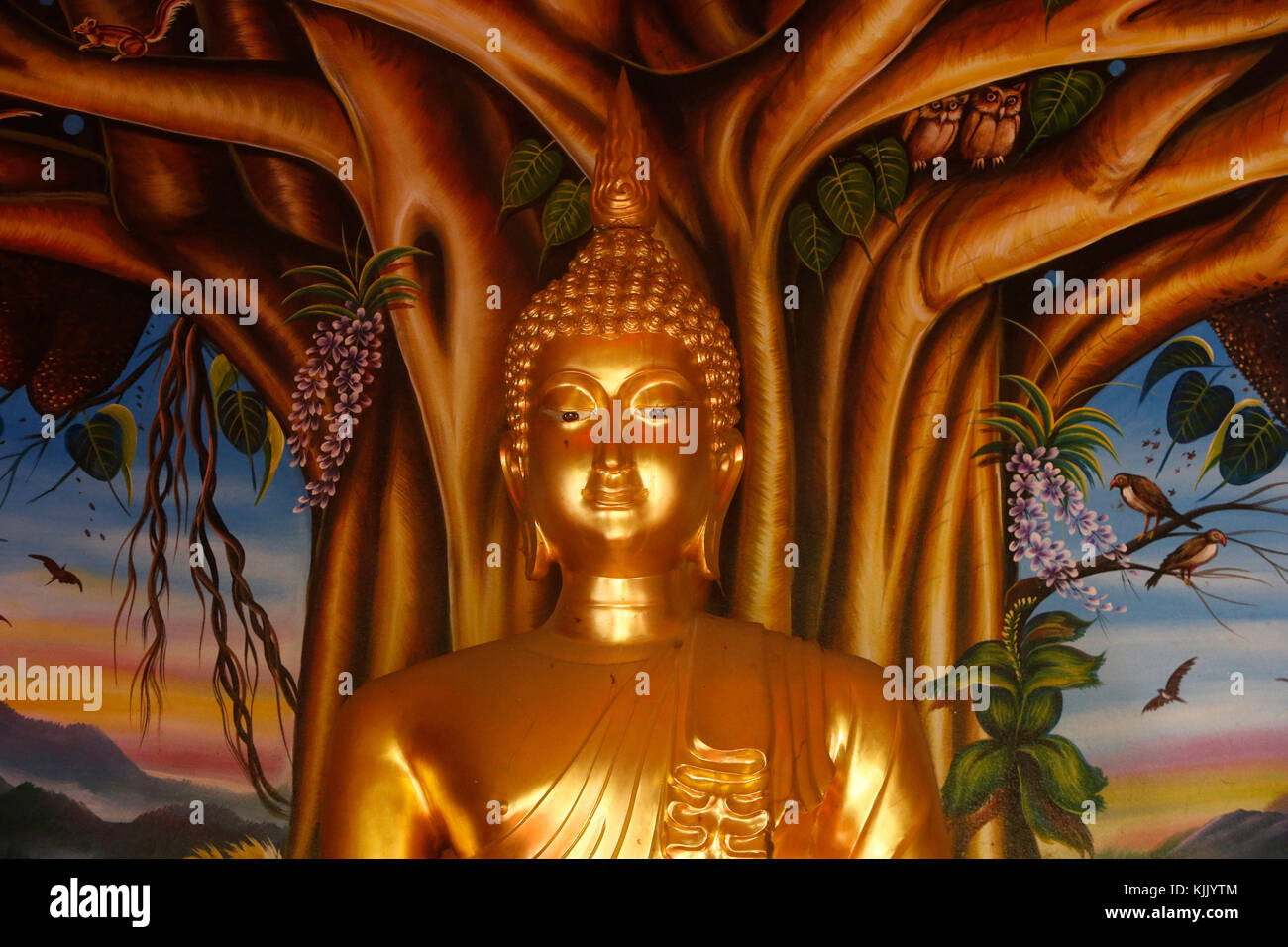 Buddha statue in Wat Dab Phai, Chiang Mai. Thailand Stock Photo - Alamy