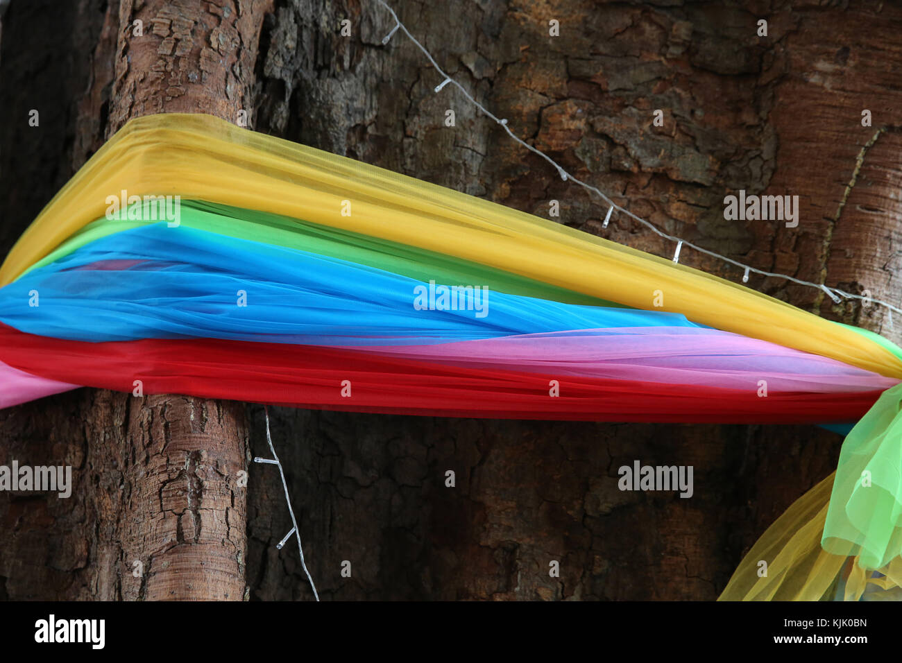 Sacred tree in a Bangkok temple. Thailand Stock Photo - Alamy