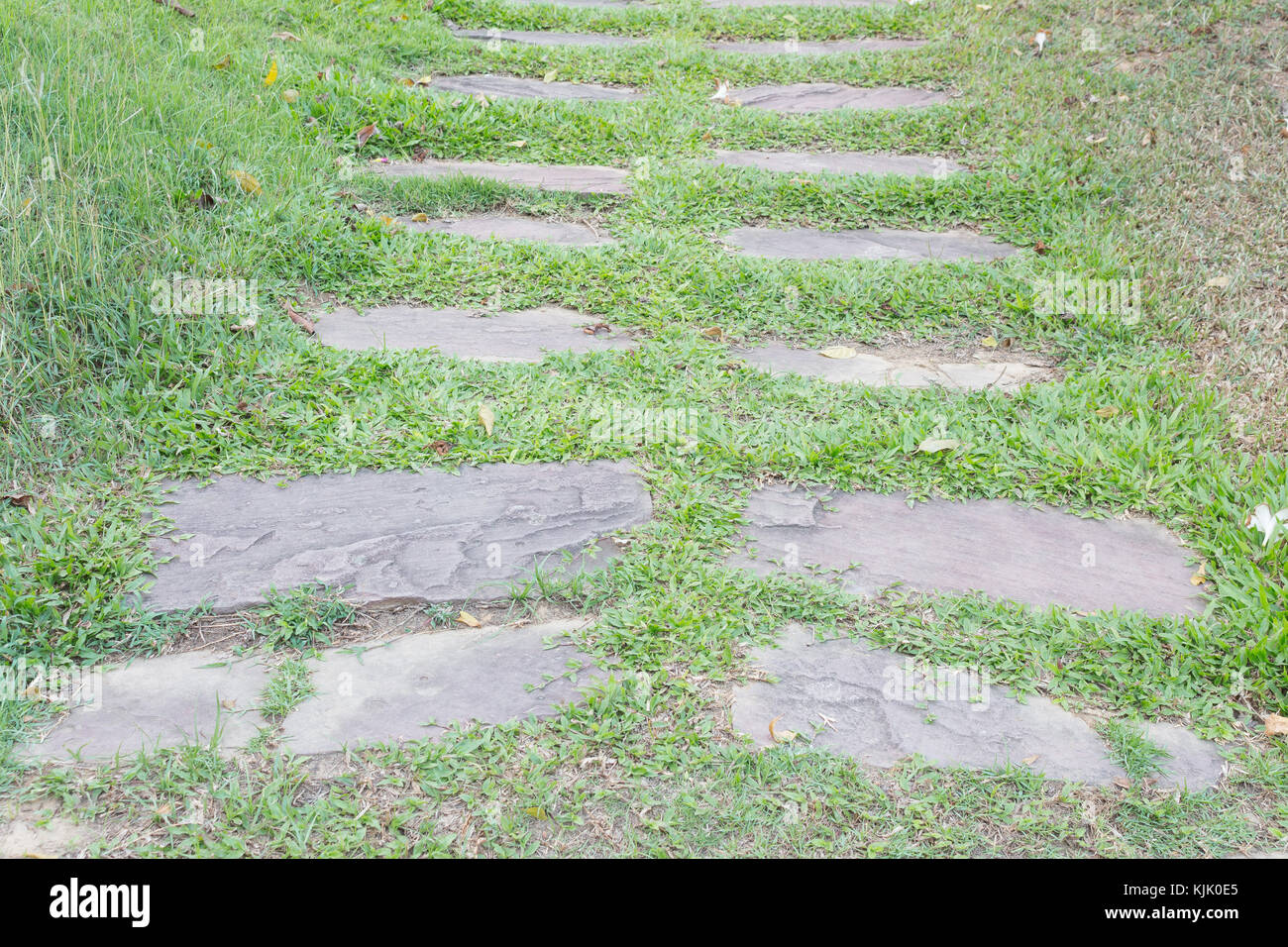 stone walkway in green grass field backyard Stock Photo - Alamy