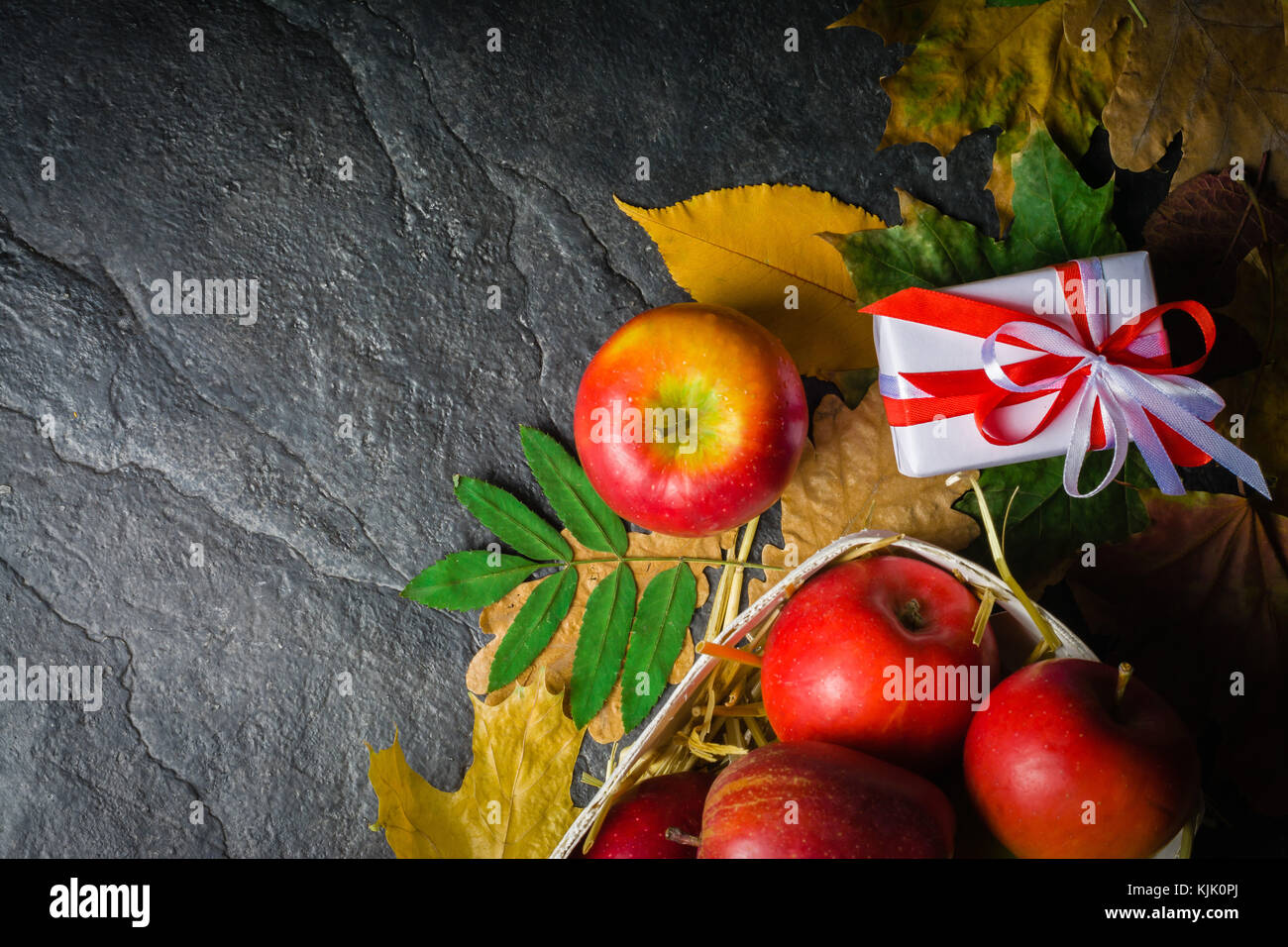 Golden autumn evening apples hi-res stock photography and images - Alamy