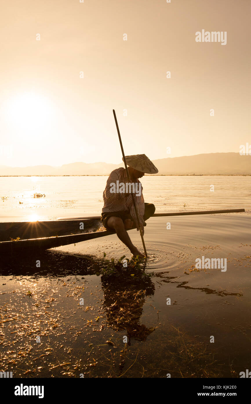 Myanmar Burma lake Inle traditional Intha leg rowing fisherman ...