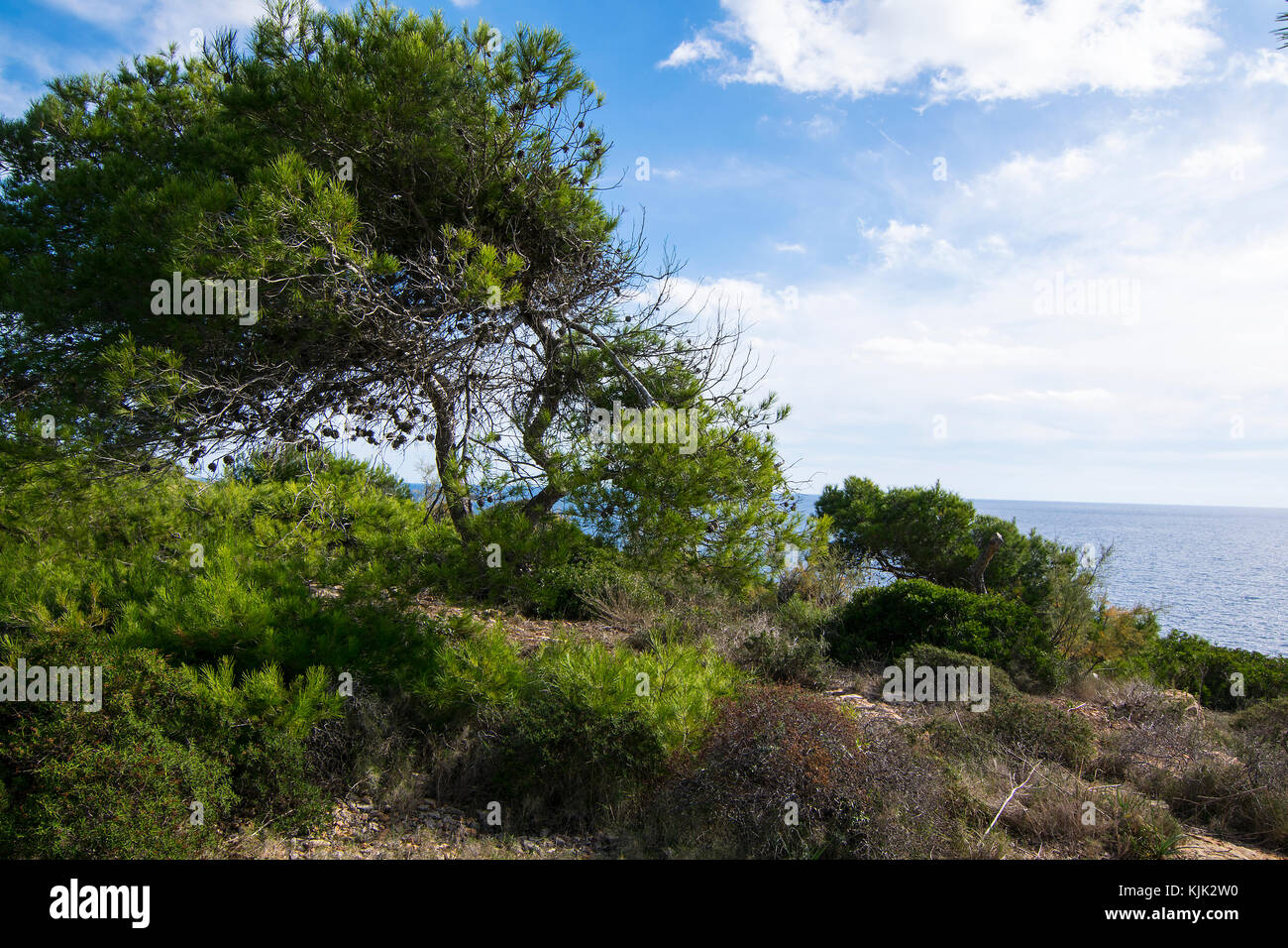Villa with sea view, Mallorca, Spain Stock Photo - Alamy