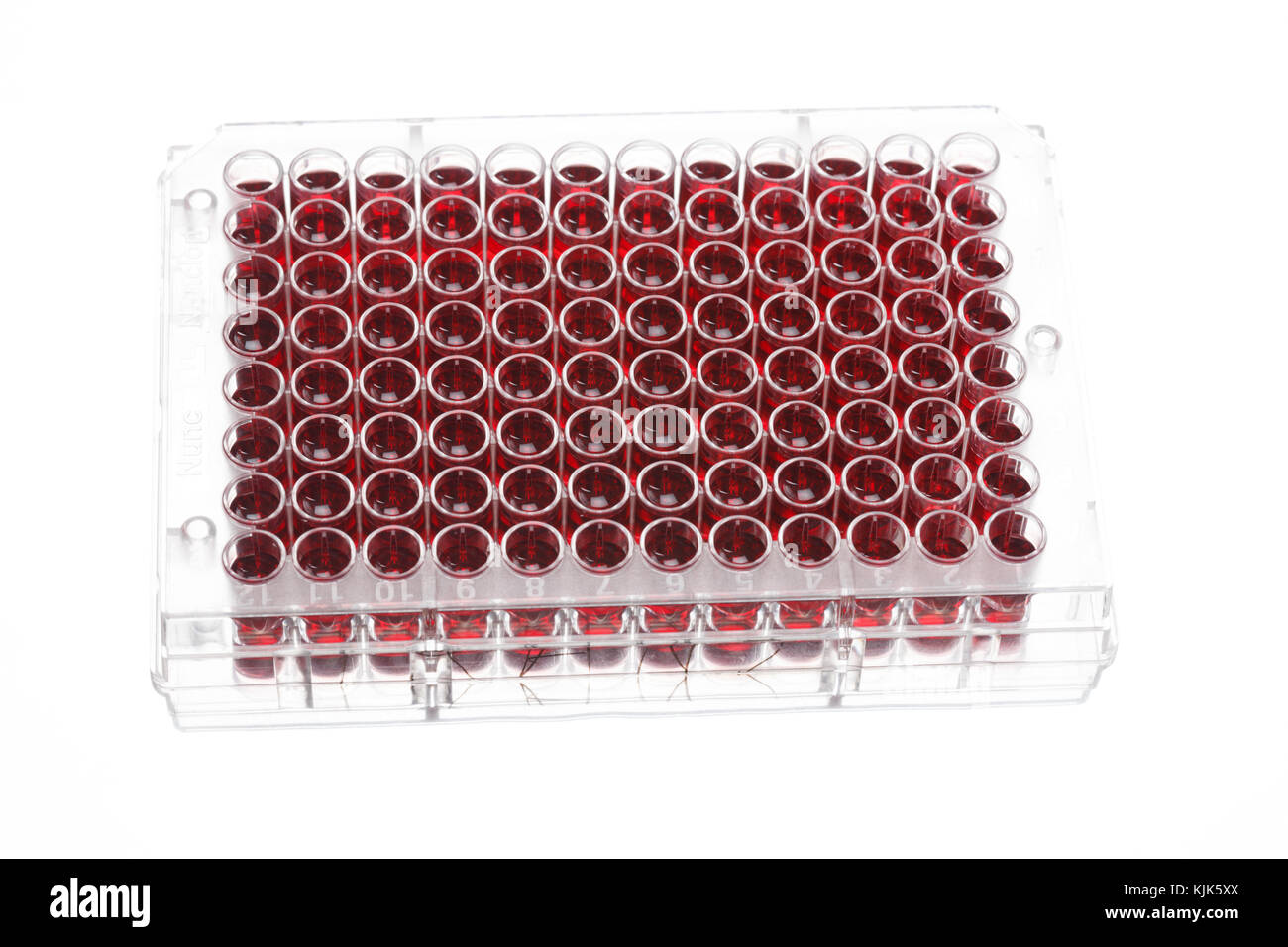Pipette 96 well plate Cut Out Stock Images & Pictures - Alamy