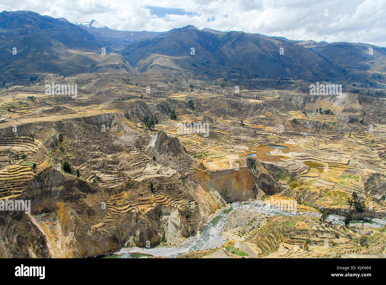 Colca Canyon, Peru, South America. The Incas built farming terraces ...