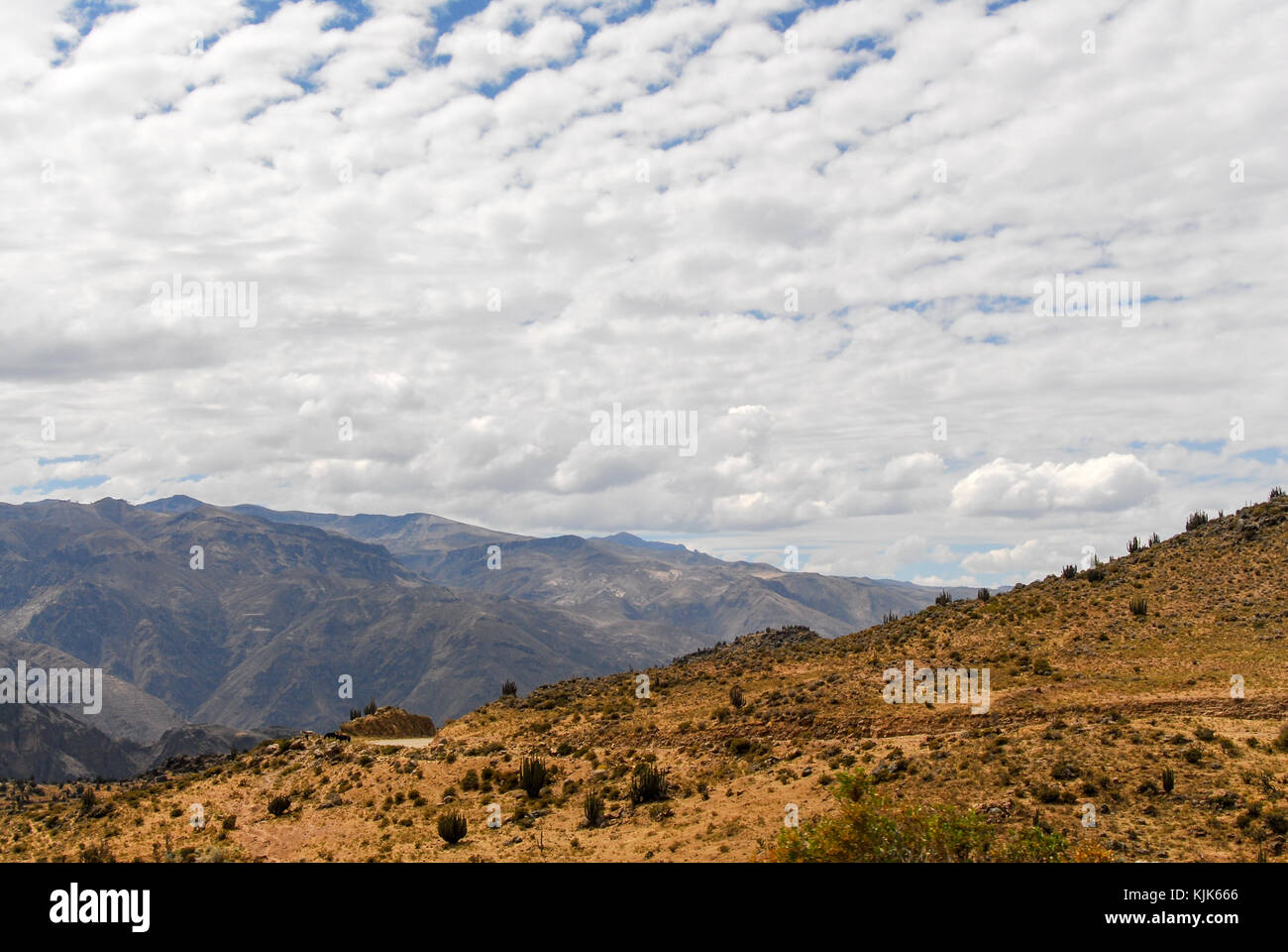 Colca Canyon, Peru, South America. The Incas built farming terraces ...