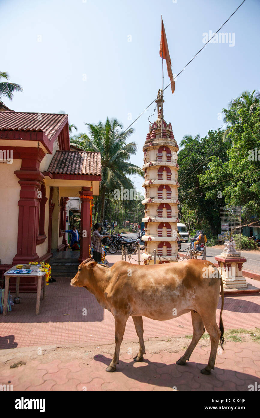 Arpora village hi-res stock photography and images - Alamy