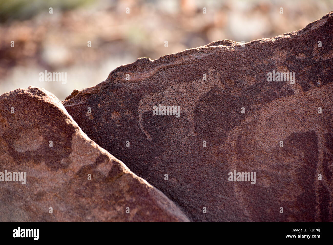 Bushman prehistoric rock engravings at the UNESCO World Heritage Center ...