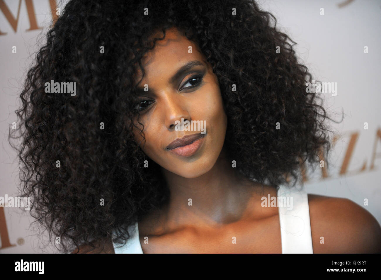 Mizani Celebrates 25th Anniversary And New Styling Collection High ...