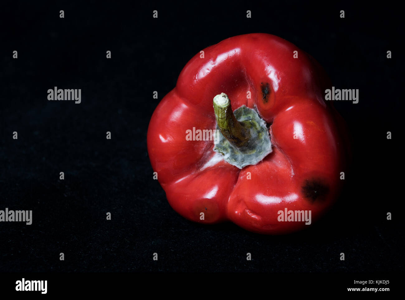 Red moldy pepper isolated on a black background Stock Photo - Alamy