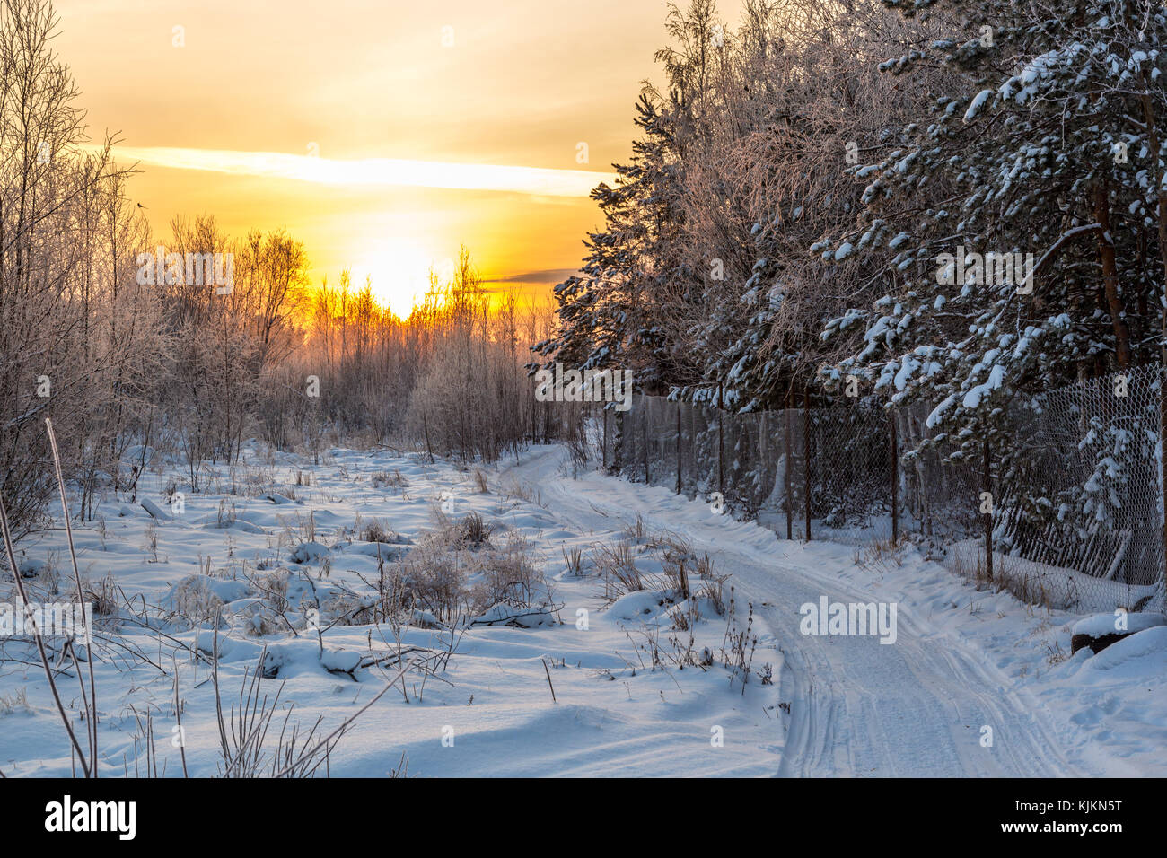 Sunset over the forest Stock Photo - Alamy