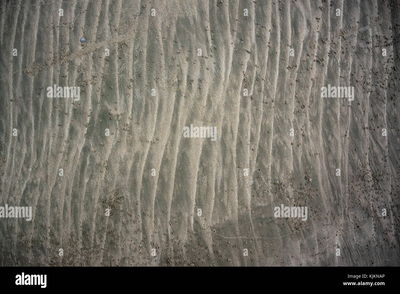Beach sand formed through waves crashing on the beach; picture taken at ...