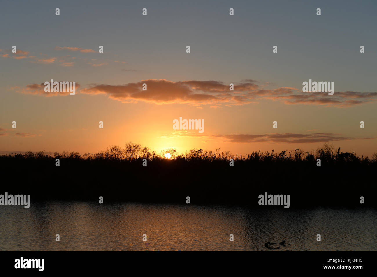 CORAL SPRINGS, FL - DECEMBER 31: General view of the last Sunset of ...