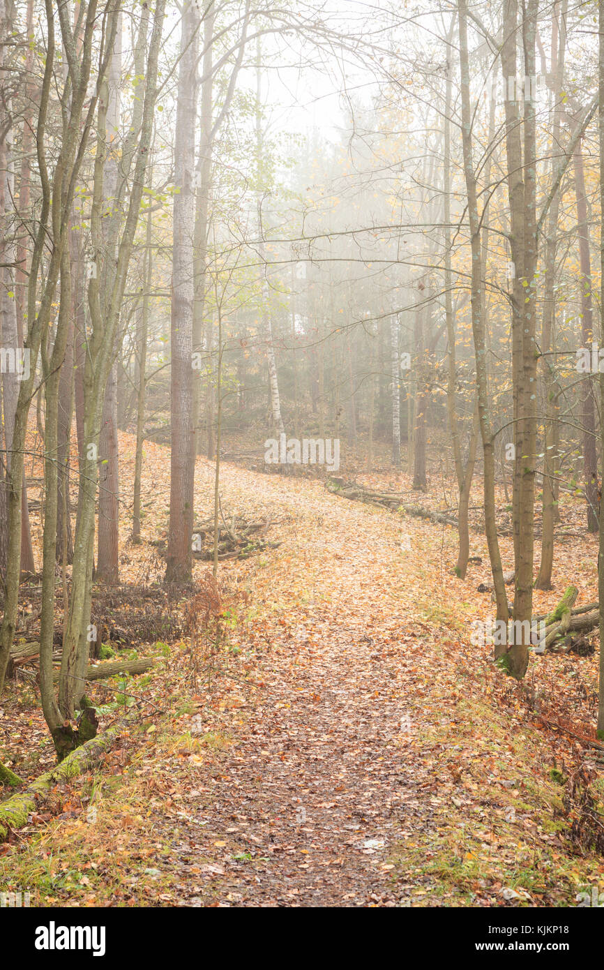 Serene nature path hi-res stock photography and images - Alamy