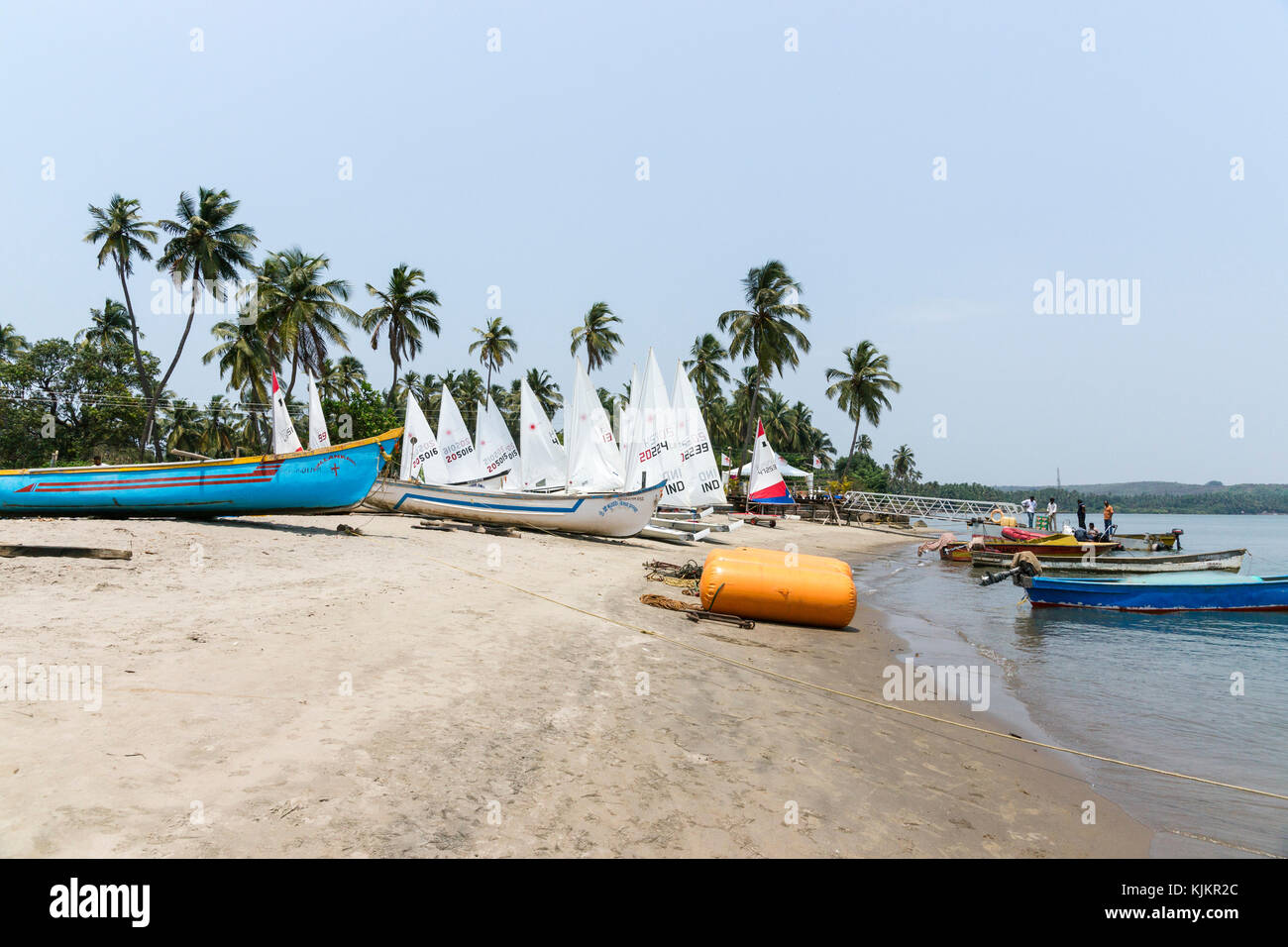 Morjim beach goa turtle hi-res stock photography and images - Alamy