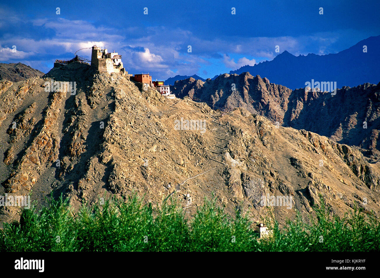 Leh royal palace, Ladakh. India Stock Photo - Alamy