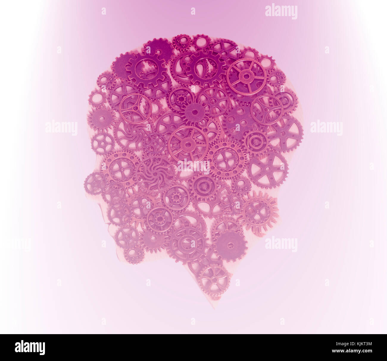 Human Head Model with Gears Stock Photo - Alamy