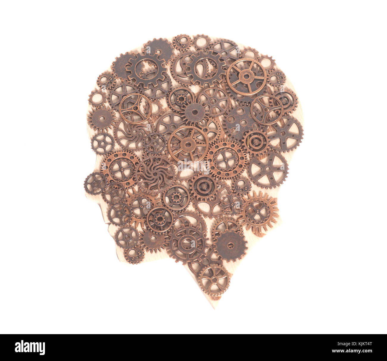 Human Wood Head with Gears Isolated on White Stock Photo - Alamy
