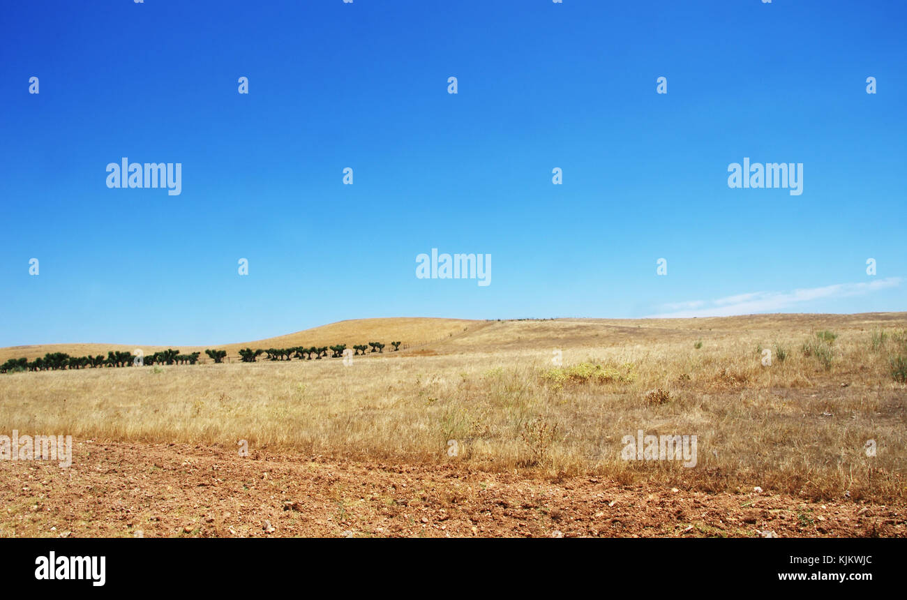 Panoramic landscape field, Alentejo, Portugal Stock Photo - Alamy