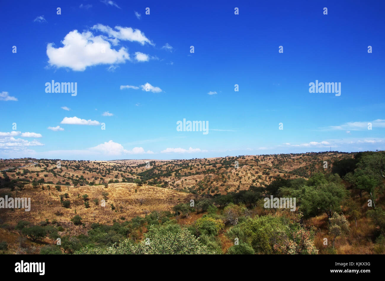 typical dry landscape of Alentejo region,south of Portugal Stock Photo ...