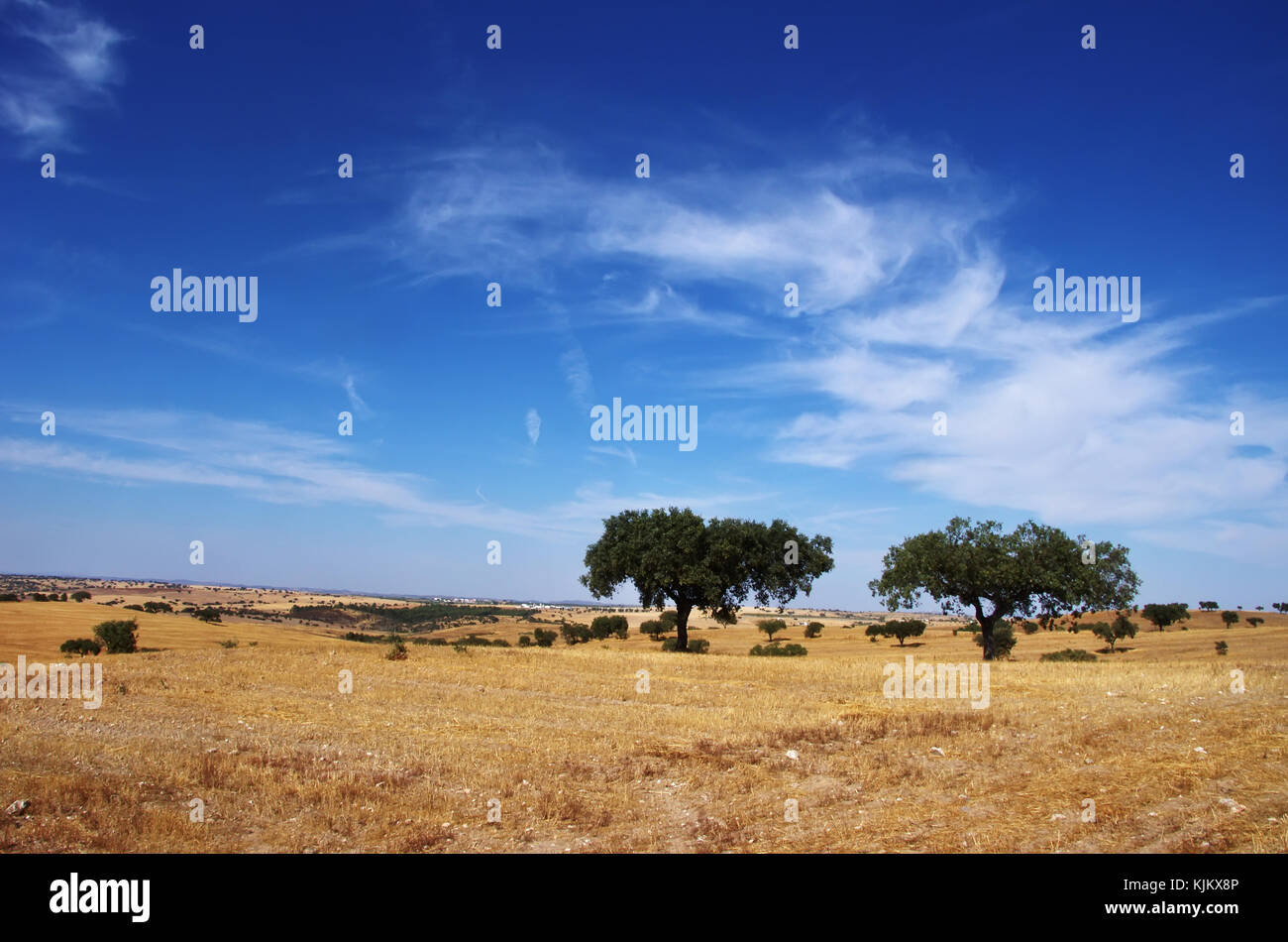 Alentejo landscape, south of Portugal Stock Photo - Alamy