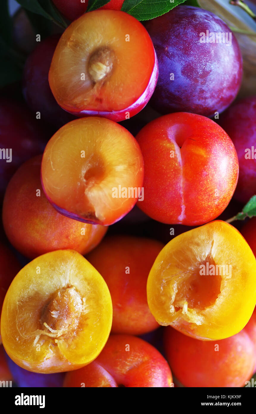 Sloe plums hi-res stock photography and images - Alamy