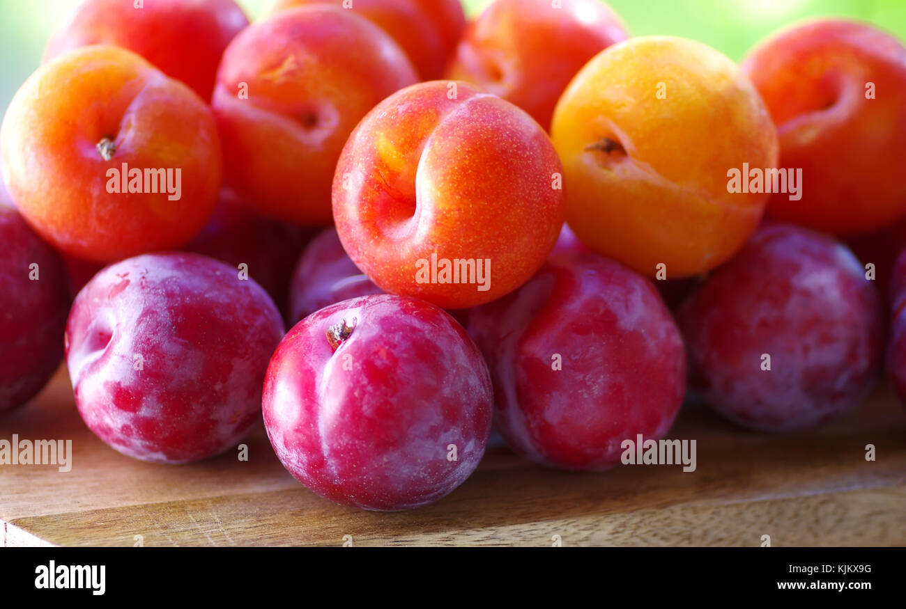 Sloe plums hi-res stock photography and images - Alamy