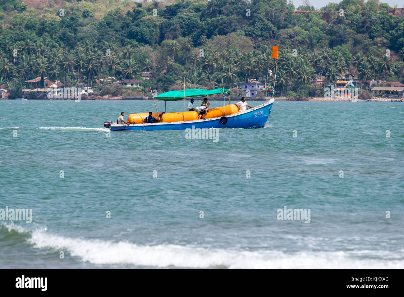 Morjim beach goa turtle hi-res stock photography and images - Alamy