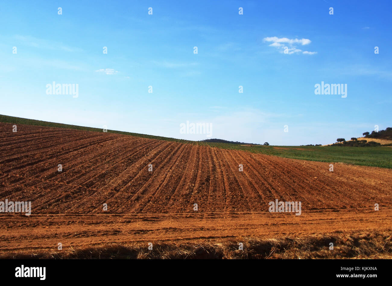 Plowed field in rural landscape Stock Photo - Alamy