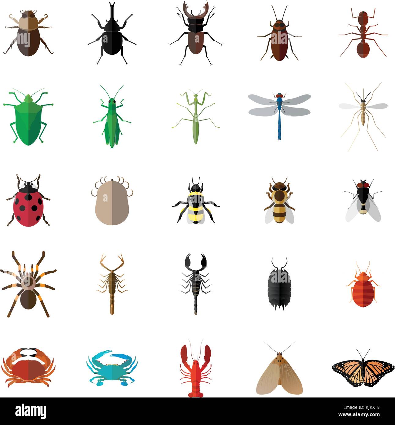 Cockroach vector vectors hi-res stock photography and images - Alamy