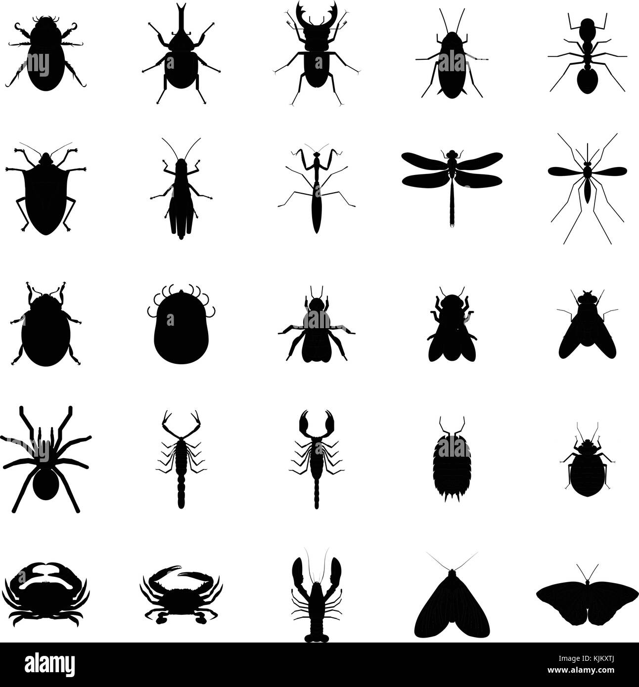 Vector 25 Black Silhouette Bug Insect Set Stock Vector Image & Art - Alamy