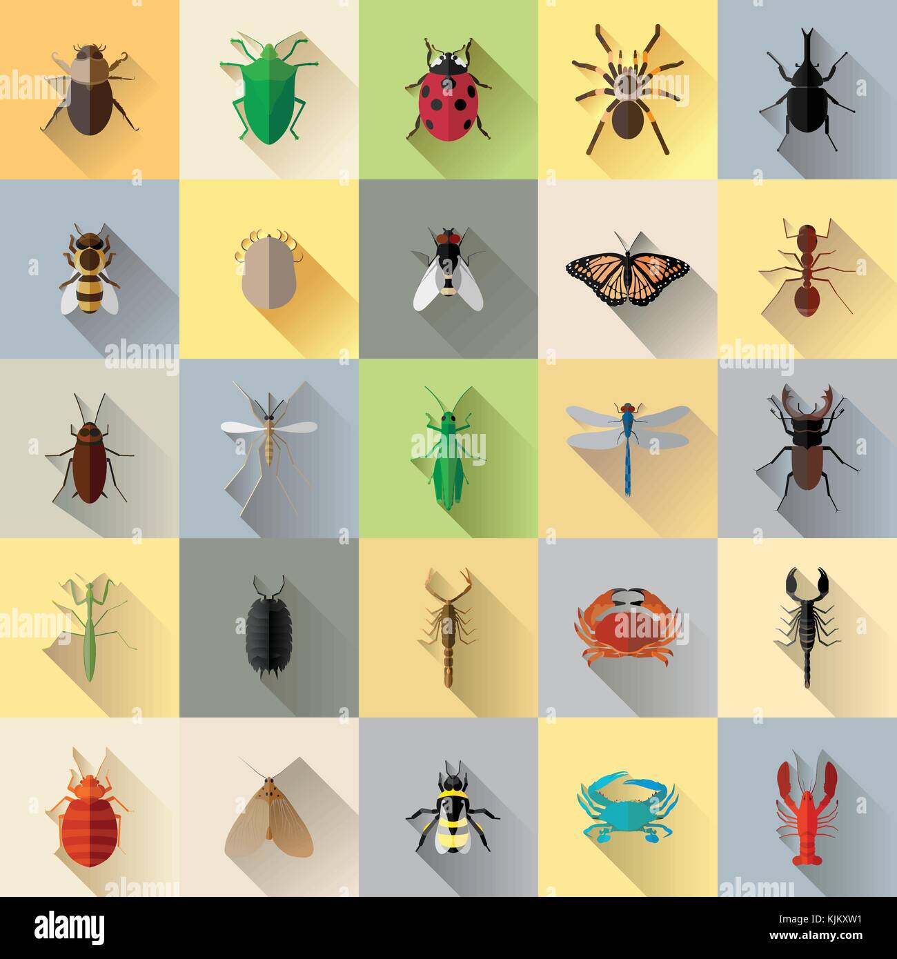 Cockroach vector vectors hi-res stock photography and images - Alamy