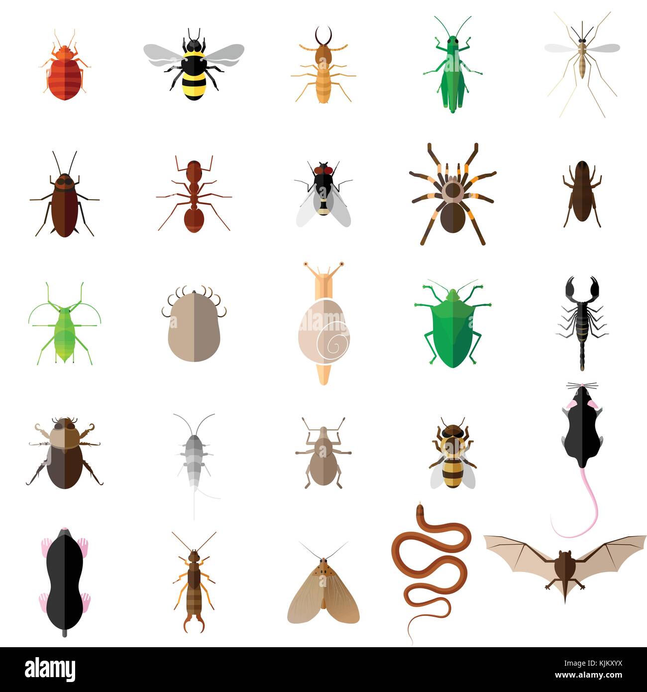 Pest control flat design hi-res stock photography and images - Alamy